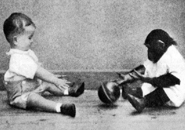 25 Strangest Science Experiments